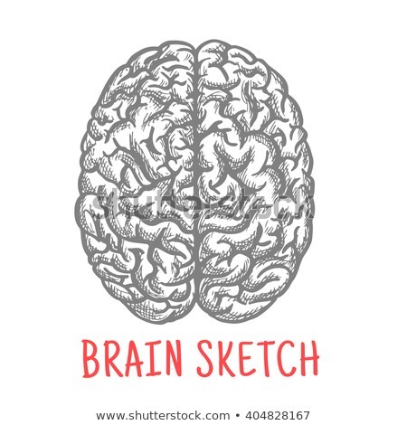 Creative Thinking Fluency | Creative Thinking